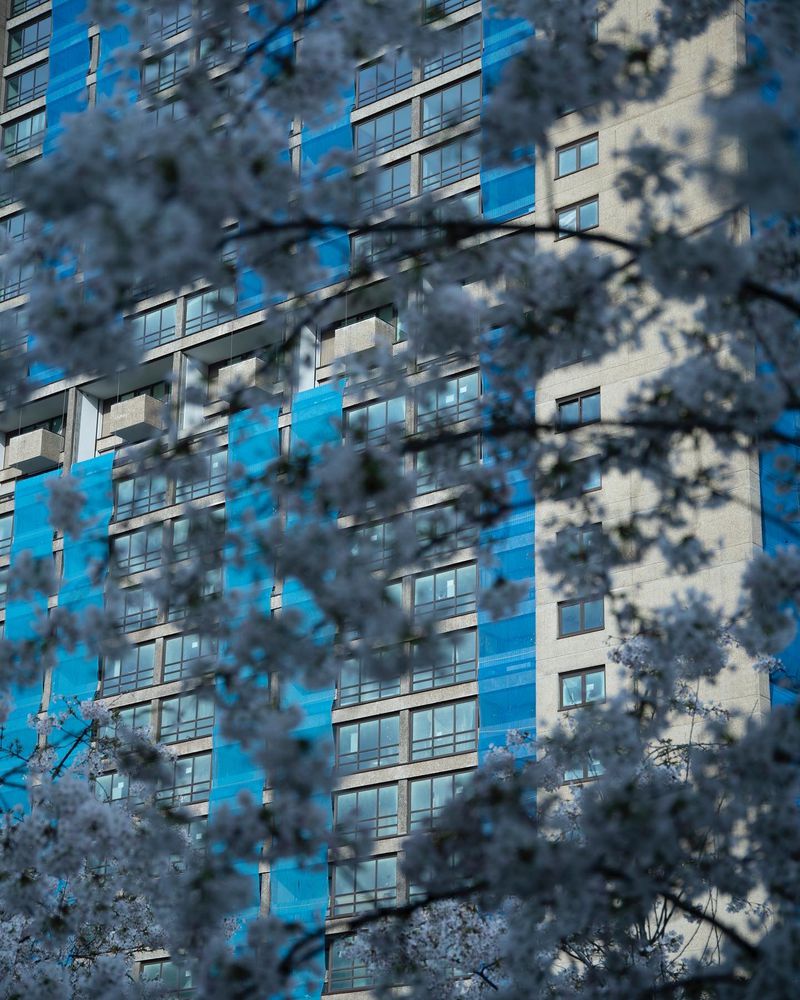 Blue Riot (Various Editorials)