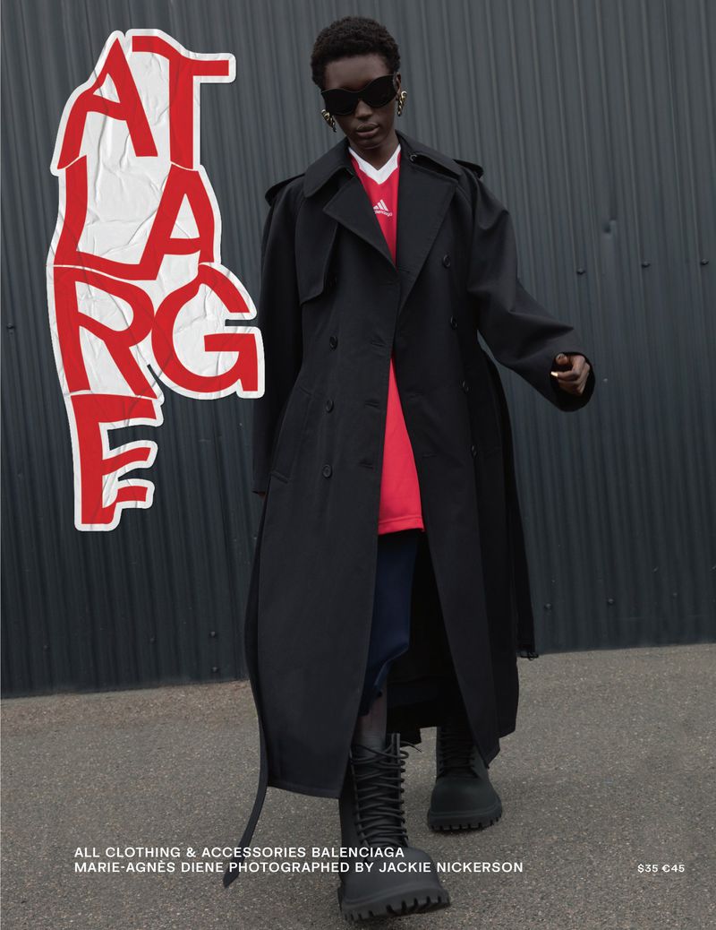 At Large Magazine 17 Fall 2022 Covers (At Large Magazine)