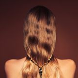 Meraviglie della natura (Grazia Italy)