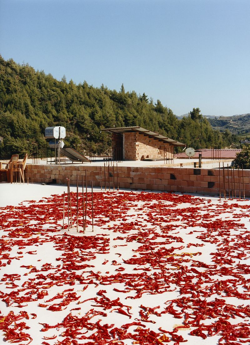 Antakya - Curated By ERDEM (A Magazine Curated By)