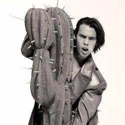 Conor Cunningham - Photographer Profile - Photos & latest news