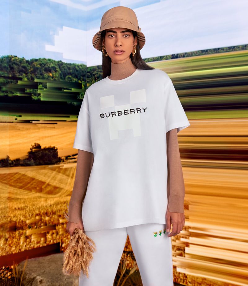 Hypebeast x Burberrry x Minecraft Lookbook 2022 (Hypebeast)
