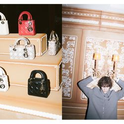 Daniel Millar - Content Creator Profile - Photos & latest news