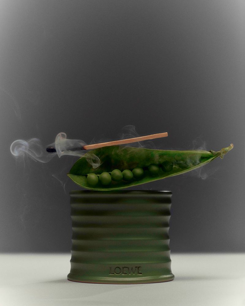 Plant Portrait (Loewe)