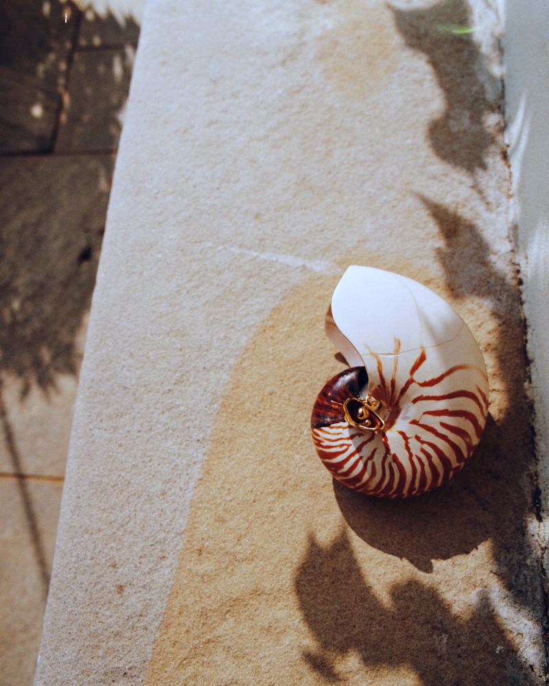 A daily existence (The Collector Magazine)