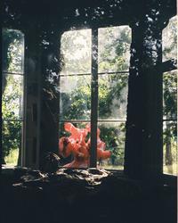 The Metalhead Magazine