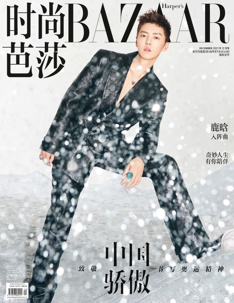 Harper's Bazaar China December 2021 Cover (Harper's Bazaar China)
