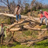 20 Model Management (Cape Town, South Africa) Modeling Agency - models ...