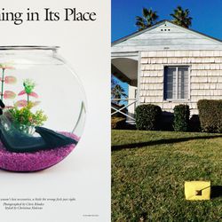 Chris Rhodes - Photographer Profile - Photos & latest news