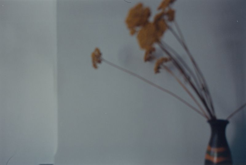 GAME by Johnny Mae Hauser + Parker Van Noord (Exhibition Magazine)