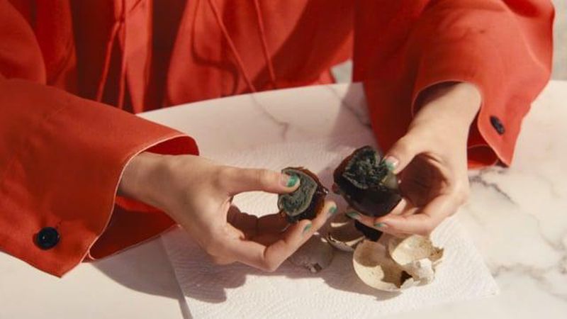 SAMUEL GUÌ YANG A/W 21 Campaign (SAMUEL GUI YANG)