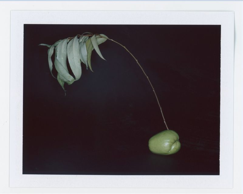 SAMUEL GUÌ YANG S/S 21 Campaign (SAMUEL GUI YANG)