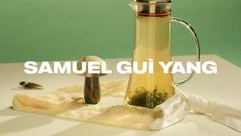 SAMUEL GUÌ YANG A/W 20 Campaign (SAMUEL GUI YANG)