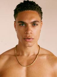 Brian Whittaker - Model - detail by client