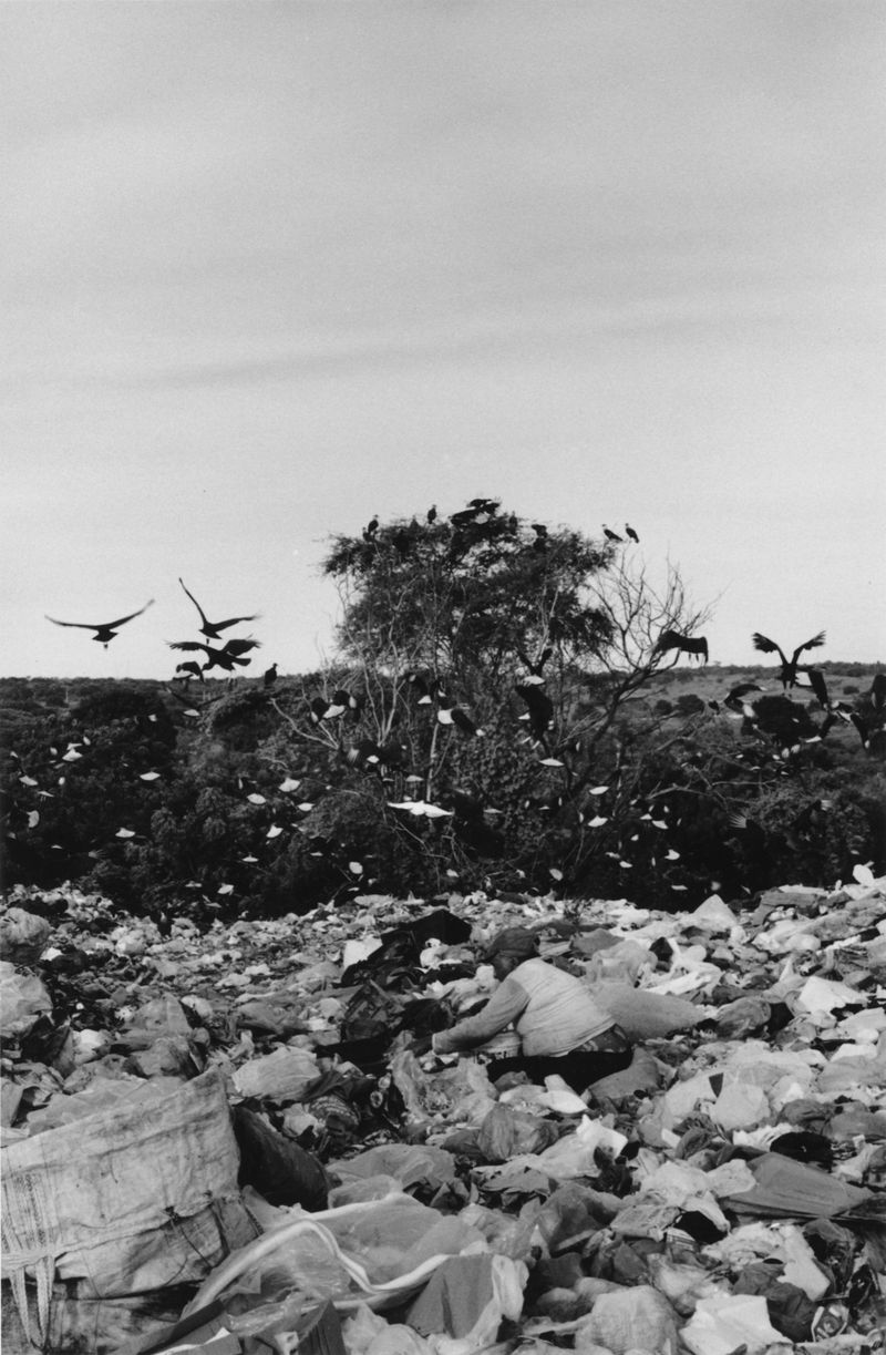 Life on Brazil’s Open Landfills (Atmos Magazine)