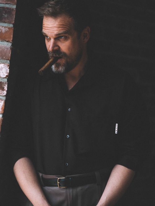 David Harbour - Actor Profile - Photos & latest news