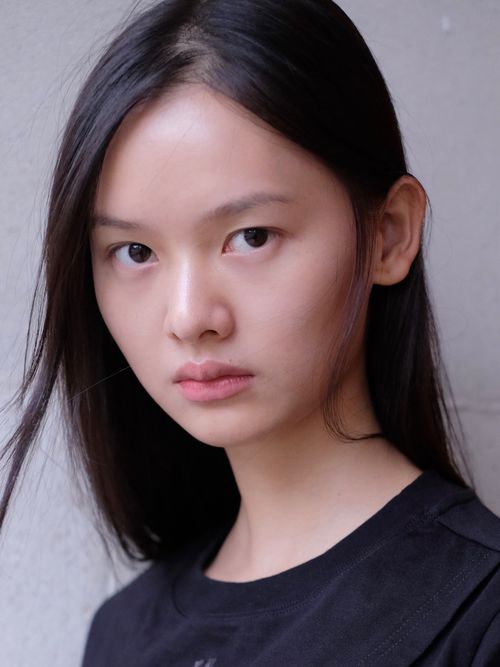 Shuping Li - Model - detail by year