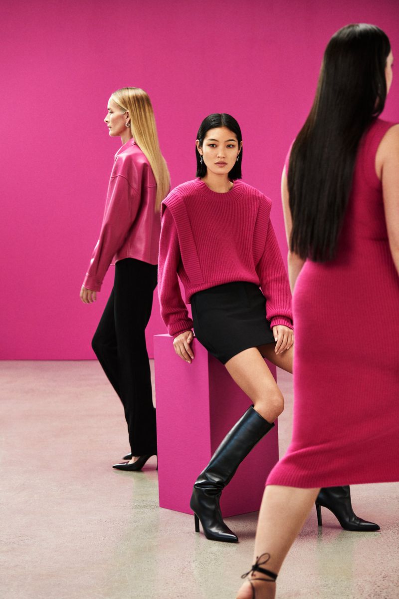 Aritzia Babaton F/W 2022 (Aritzia)