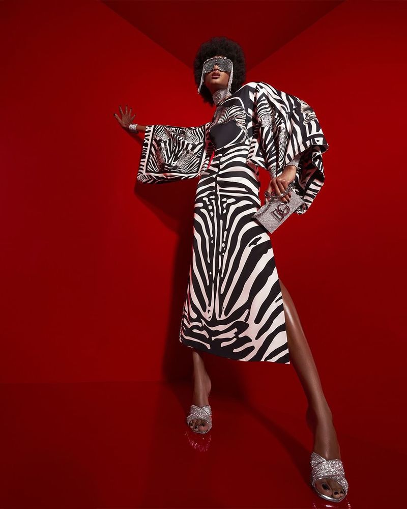 DG Zebra collection (Dolce & Gabbana)