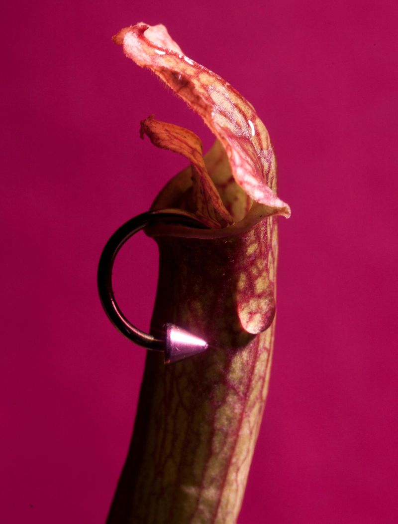 The metaphor of human body (Various Editorials)