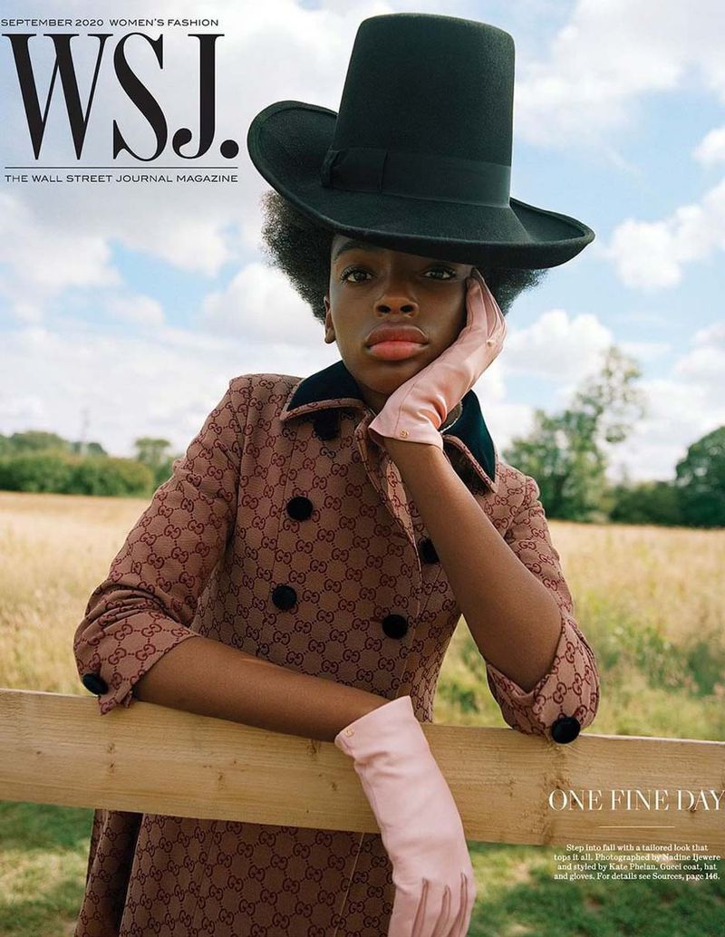 WSJ cover story (WSJ)