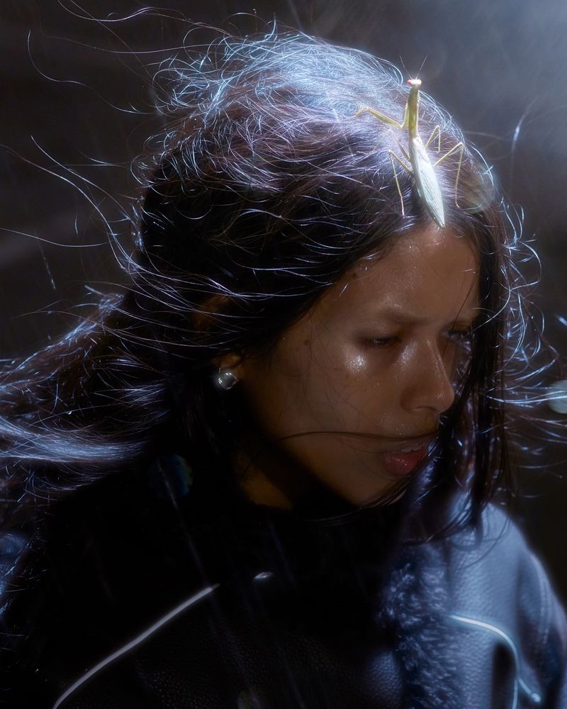 Death and Beyond (Portrait)