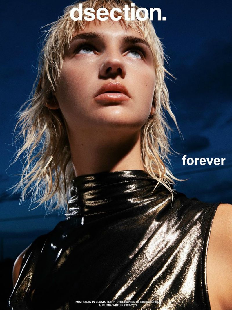 DSECTION Magazine Fall 2023 Covers: Forever Vol 2 Issue (DSECTION Magazine)