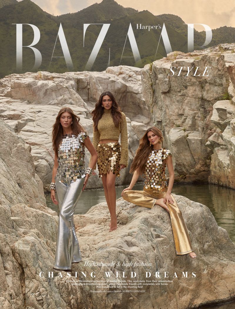 Chasing Wild Dreams: Harper's BAZAAR Vietnam (Harper's Bazaar Vietnam)