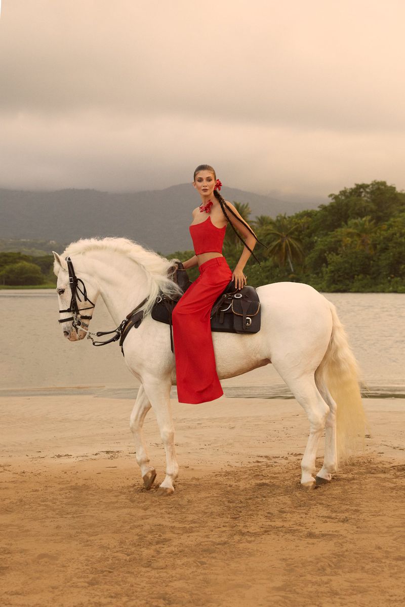Chasing Wild Dreams: Harper's BAZAAR Vietnam (Harper's Bazaar Vietnam)