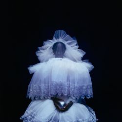 Gabriel Moses - Photographer Profile - Photos & latest news