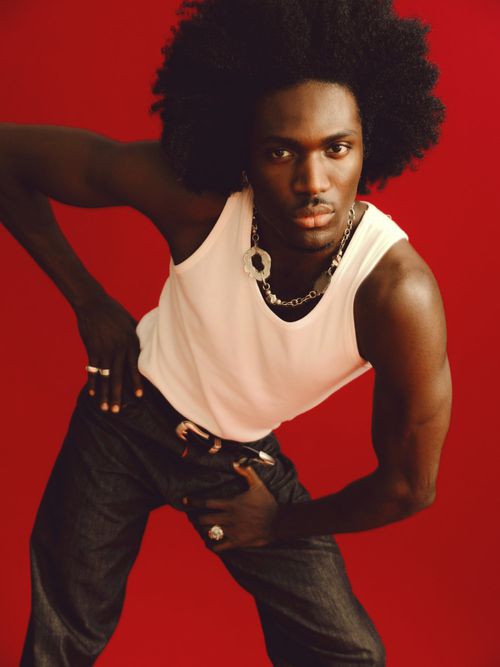 Matthew Jamal - Model - detail by client