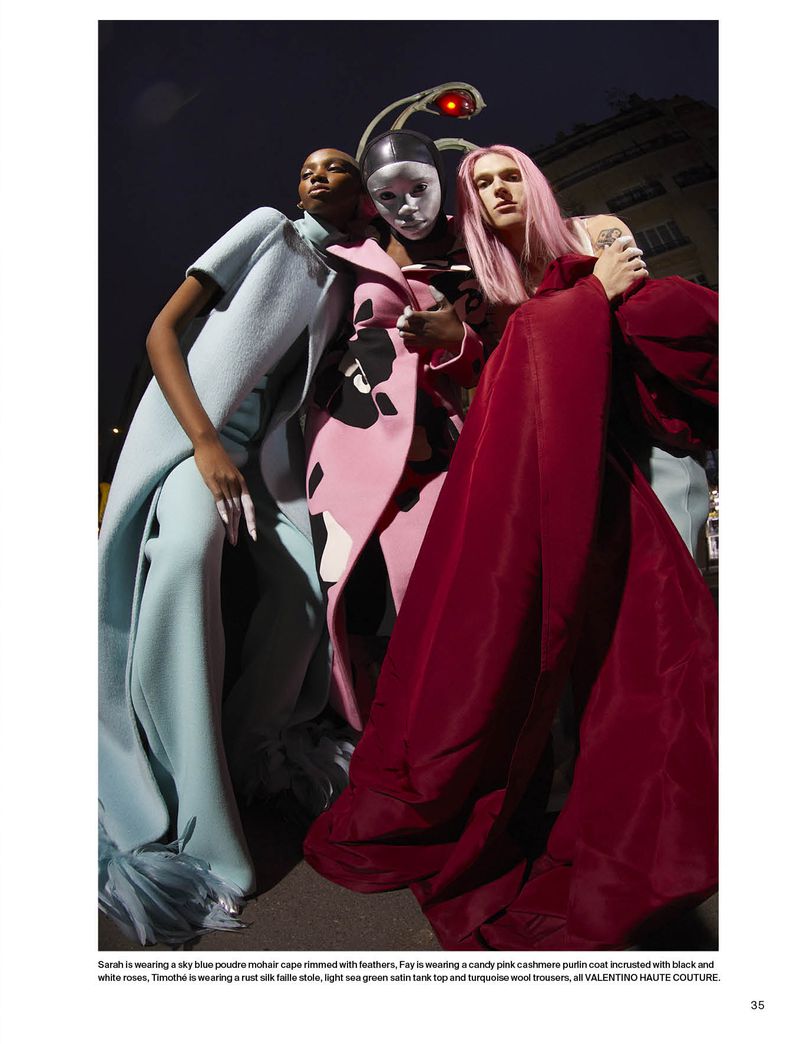 H.C. Modernity (Collectible Dry)