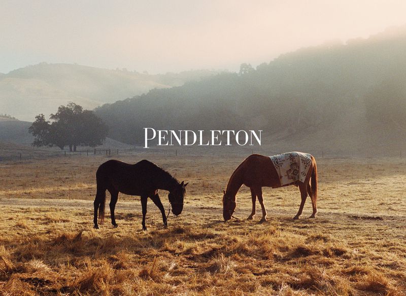 Pendleton 2022 Campaign (Various Campaigns)