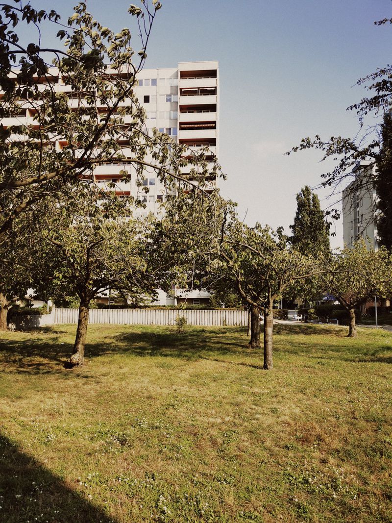 Suburbia Syndrome for Fräulein Magazine (Various Editorials)