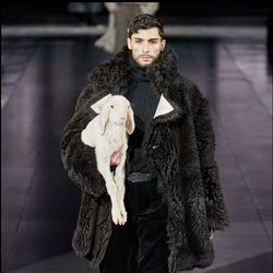 Paolo Busti - Model Profile - Photos & latest news