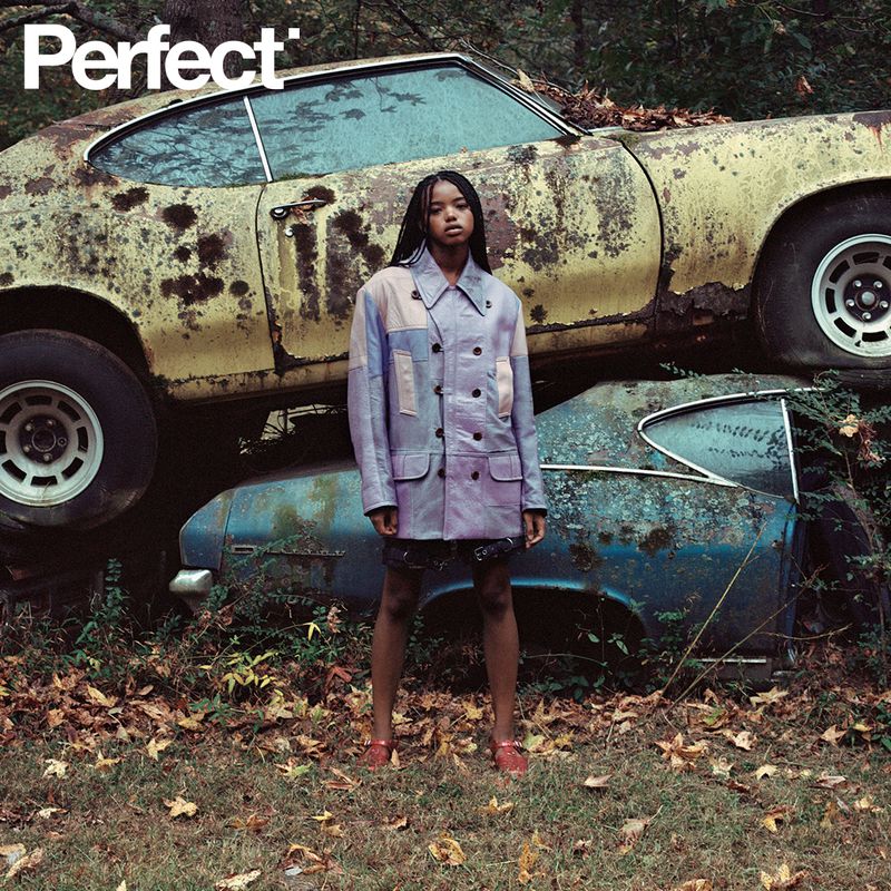 Perfect Issue Four by Steve Mackey (The Perfect Magazine)