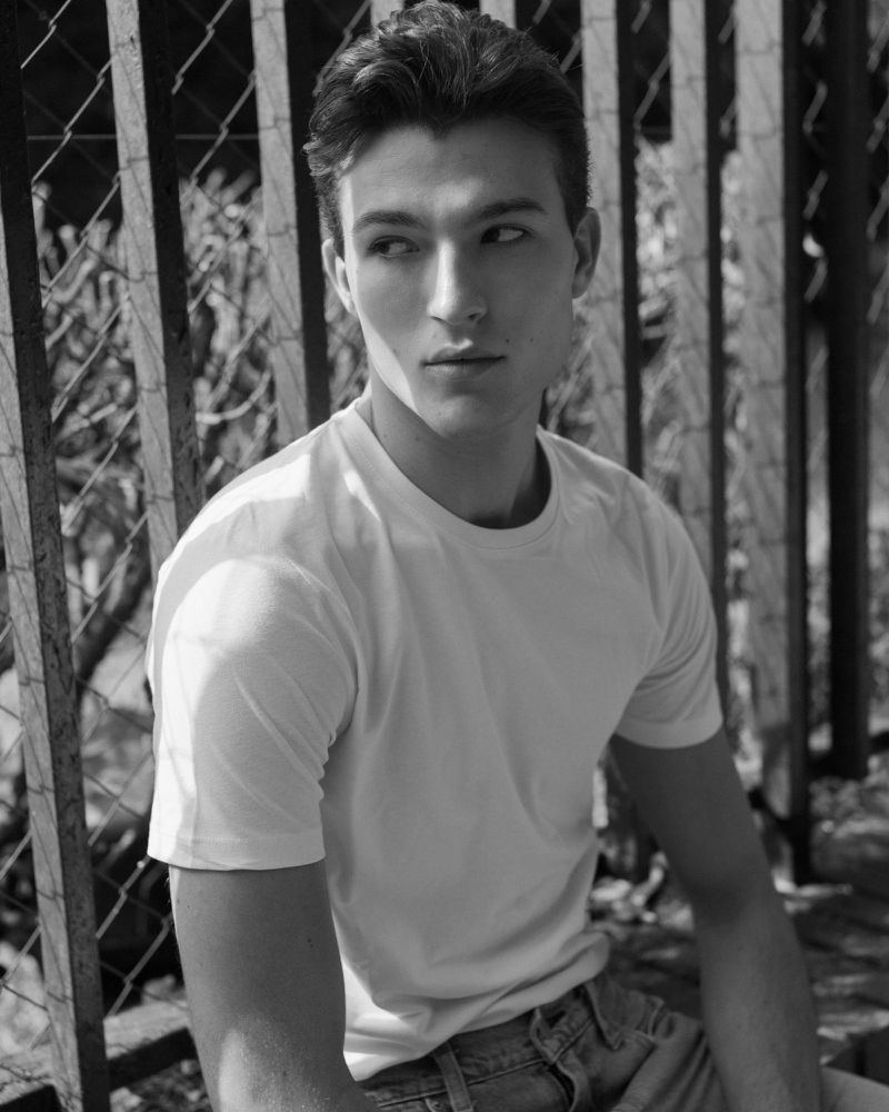 SPIRITED for The Pink Prince (The Pink Prince)