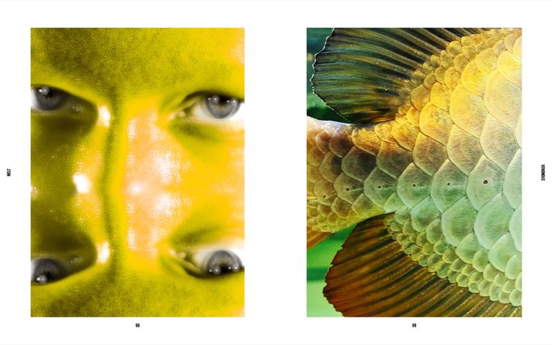 COCO for Venomous Magazine (Various Editorials)