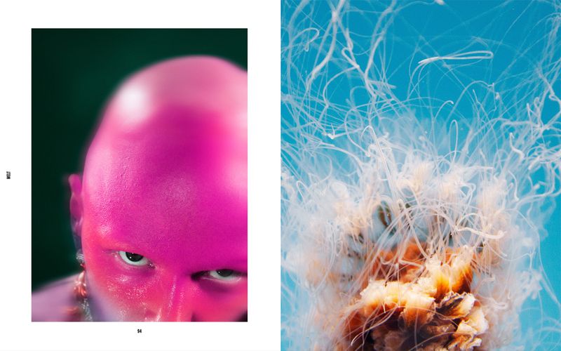 COCO for Venomous Magazine (Various Editorials)