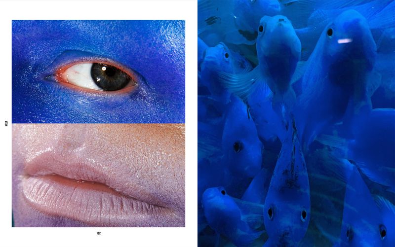 COCO for Venomous Magazine (Various Editorials)