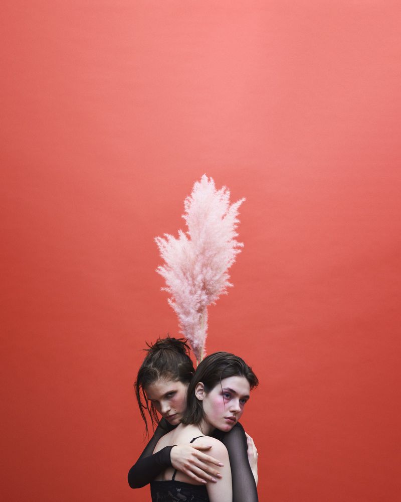 The Language of Flowers by Reve Ryu (CAP 74024 Online )