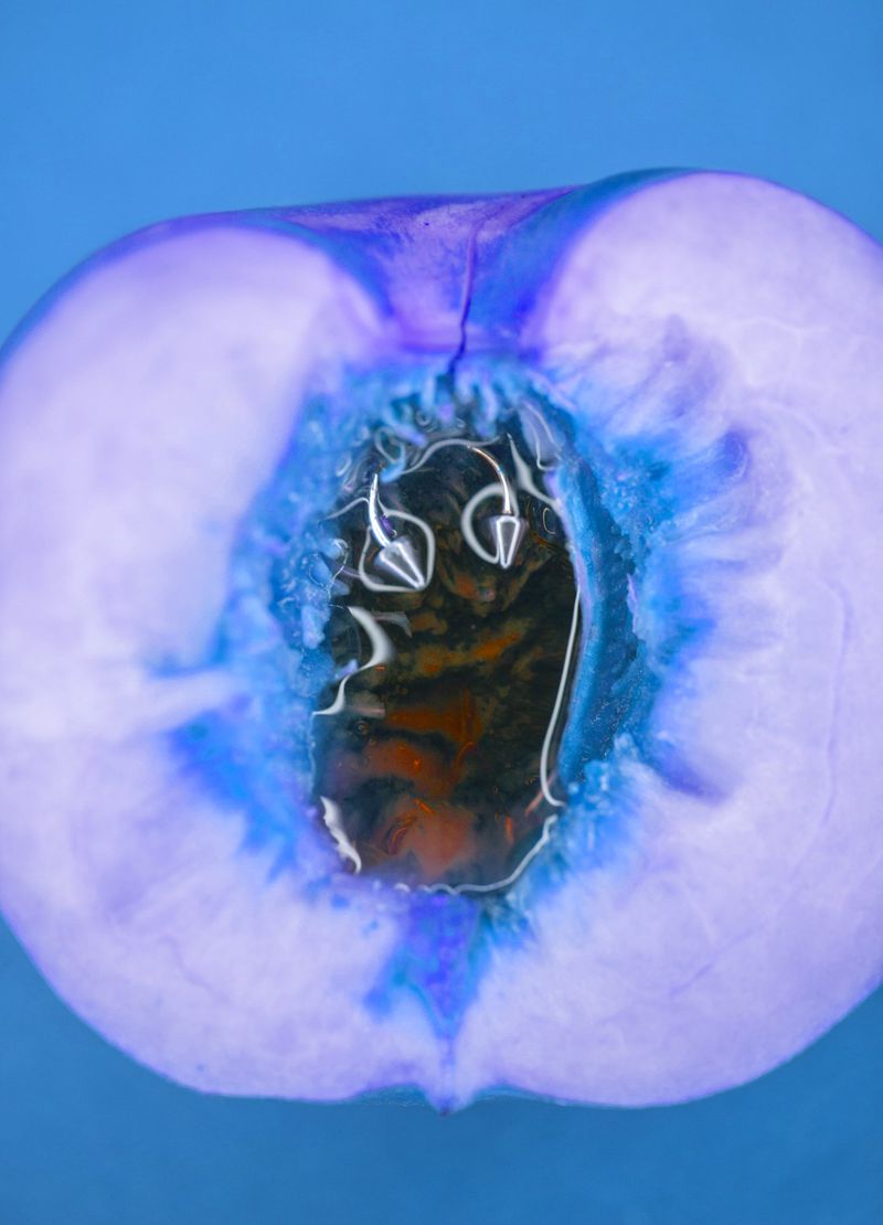 Oneg Magazine / Nature, femininity and female power (Various Editorials)