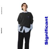 Significant Tag (Ader Error)