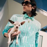 Amiri x The Webster (Amiri)