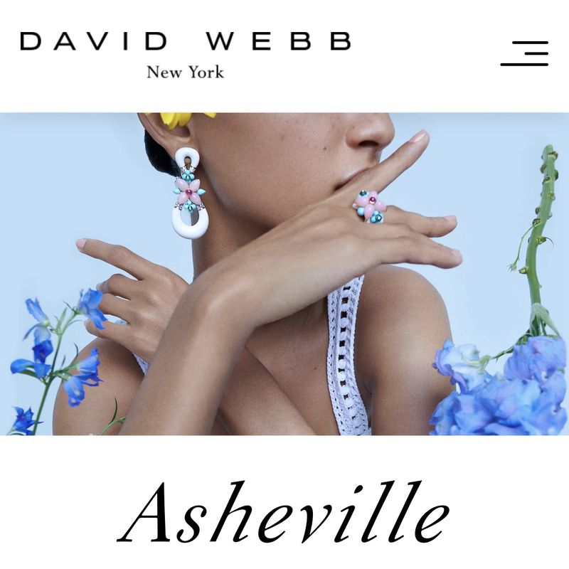 David Webb e-commerce 2022 (David Webb)