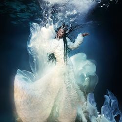 Stephen Gan - Editor-in-Chief Profile - Photos & latest news