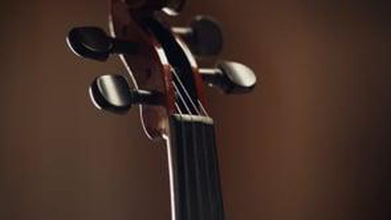 Brand Video Videographer Alex Reid (Daks)