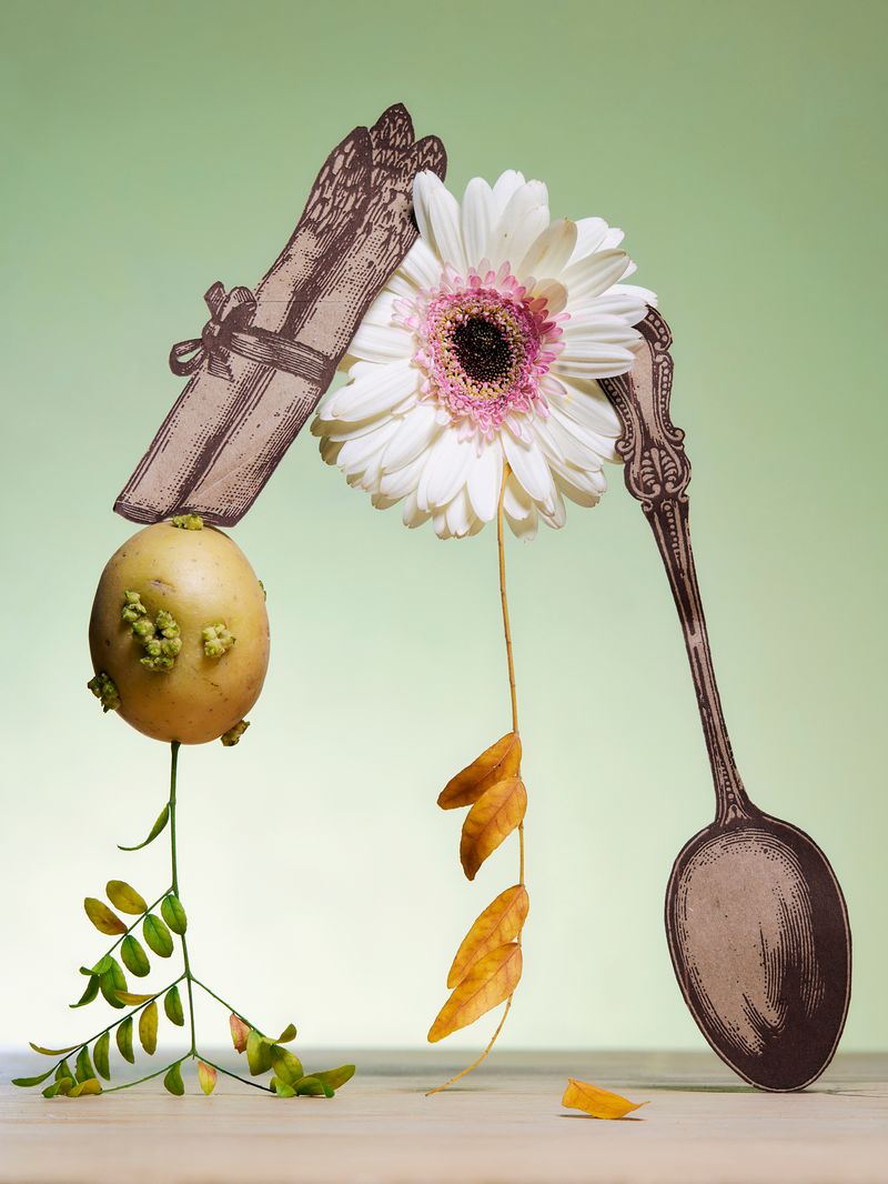 Studio Still Life (Special Projects)