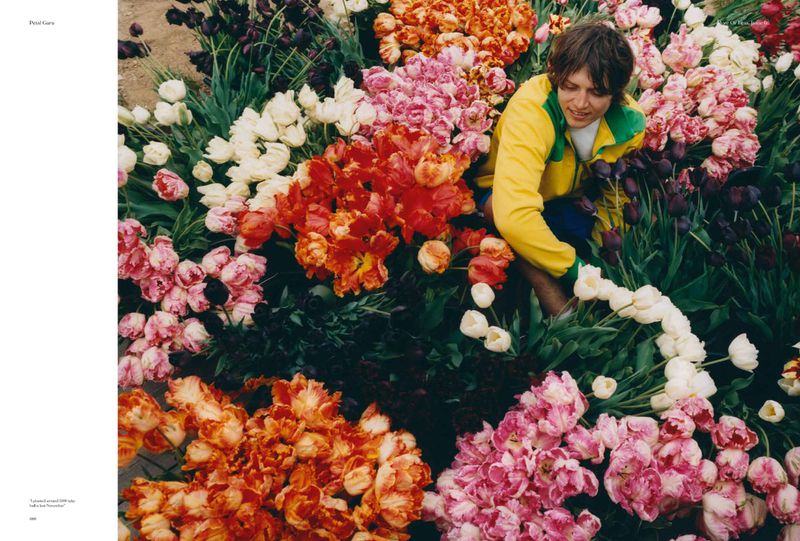 Blooms Day (More or Less Magazine)