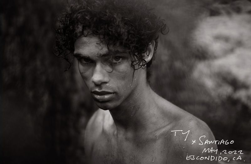 THE WAY OF NATURE (Behind the Blinds)